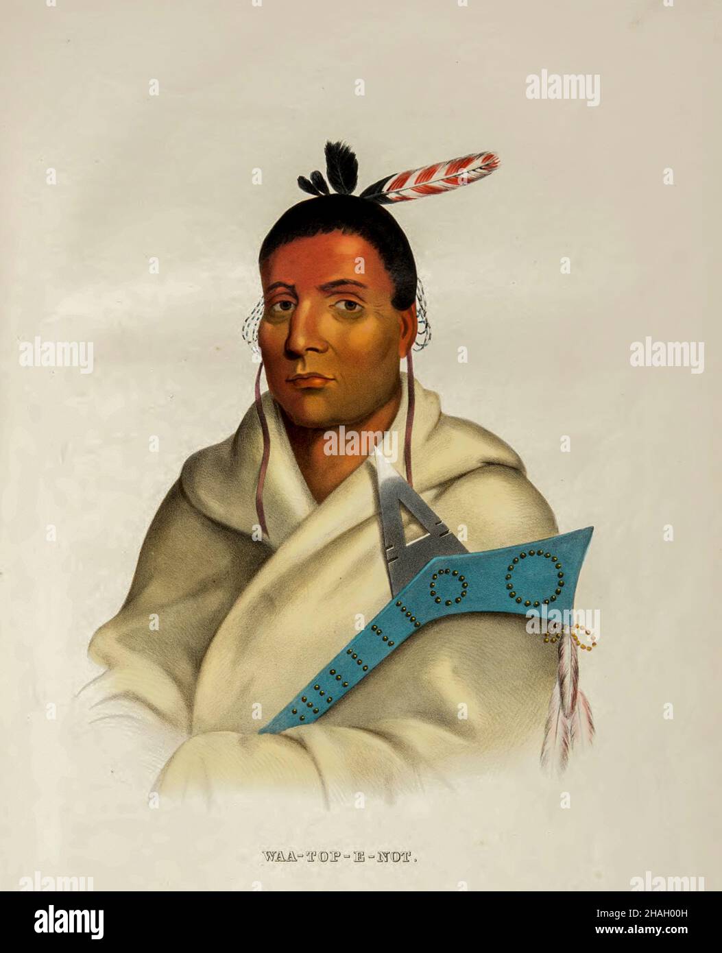 Not my king king charles hi-res stock photography and images - Alamy