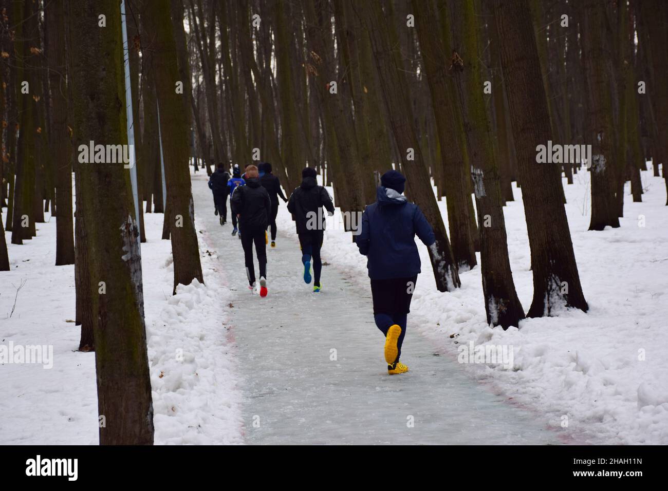 In a winter park, young athletes athletes jogging in different sports ...