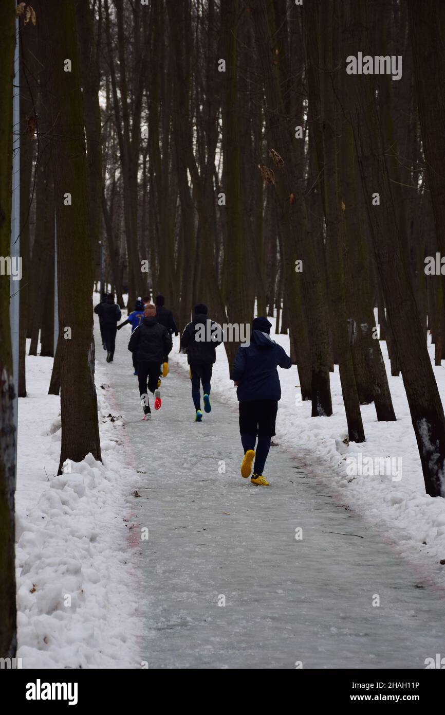 In a winter park, young athletes athletes jogging in different sports ...