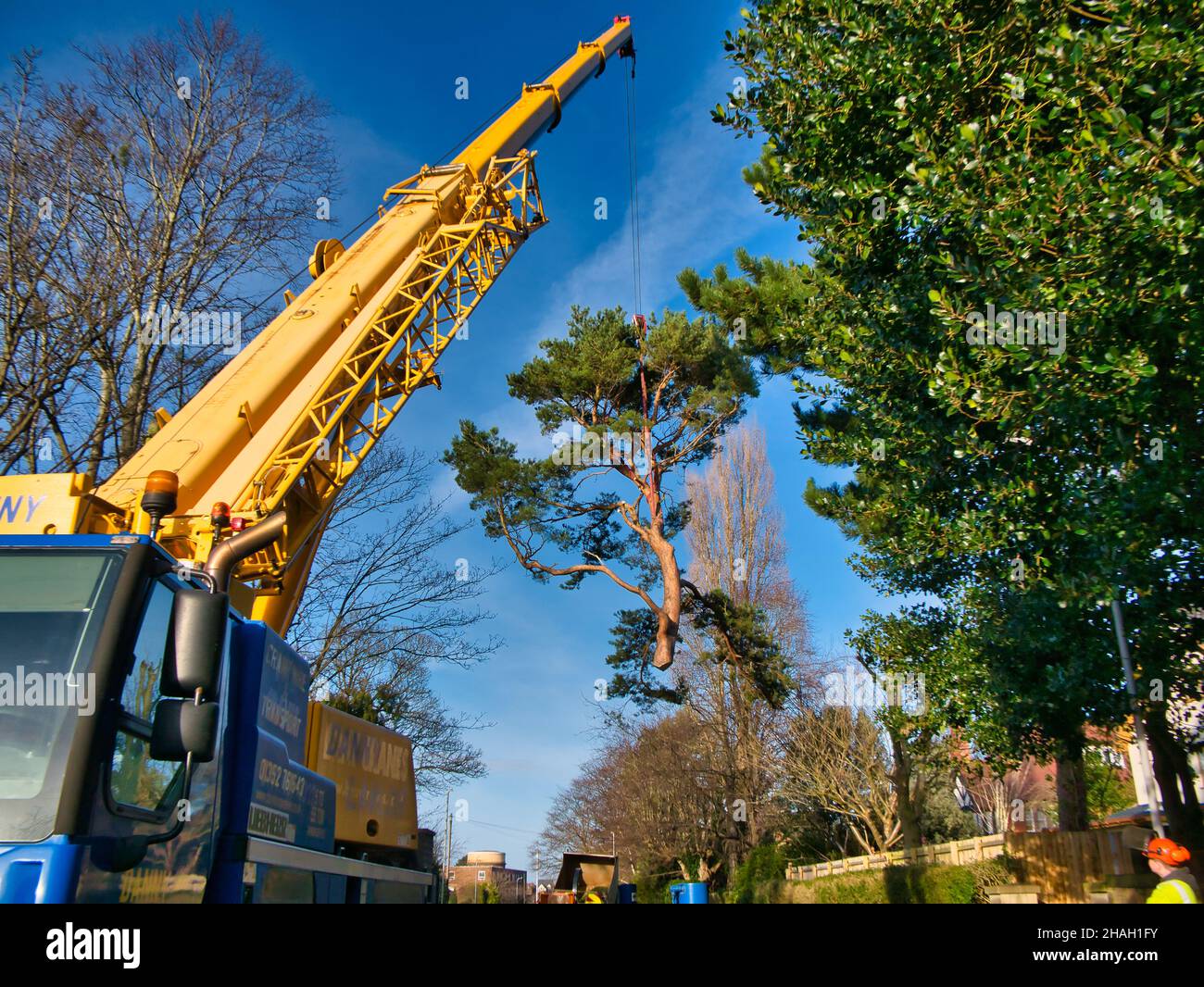 In the aftermath of Storm Arwen Danny Lawlor Crane Hire and Mancoed ...