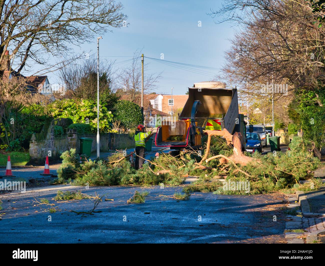 In the aftermath of Storm Arwen Mancoed Tree Management work on a ...