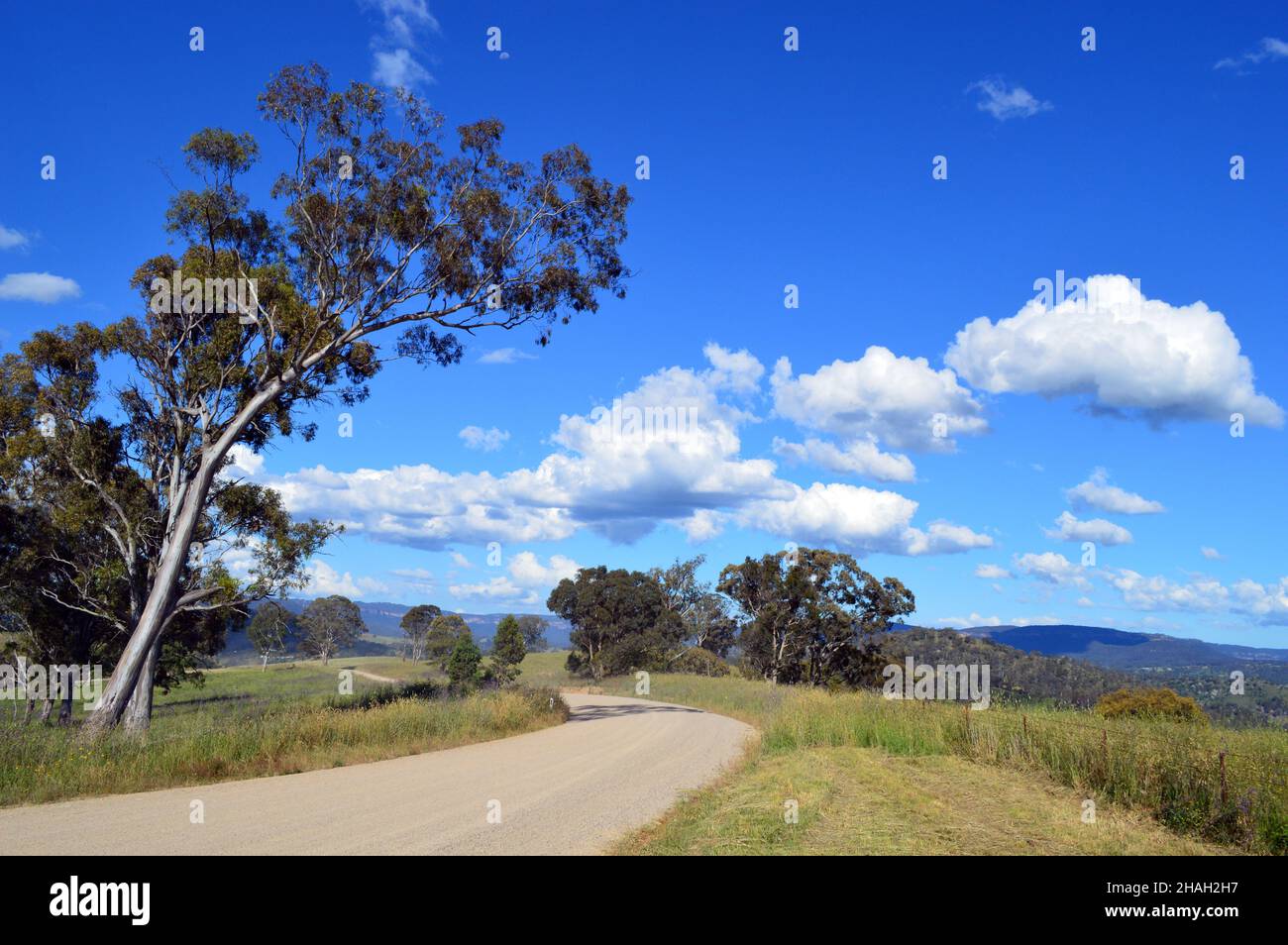 A dirt road in rural Australia in summer time Stock Photo - Alamy