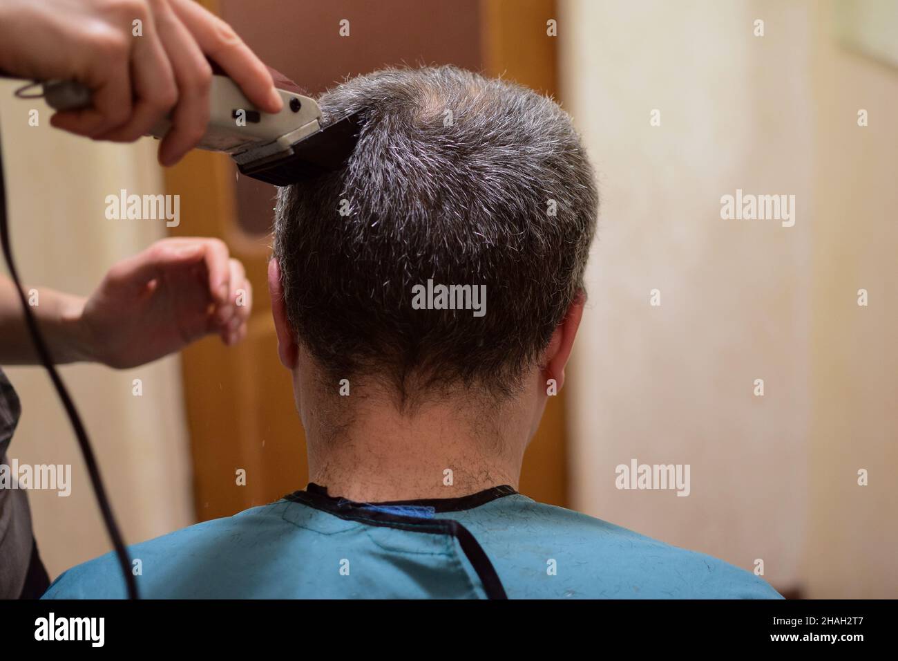 A grown man is trimmed with a clipper and sits with his back to the ...