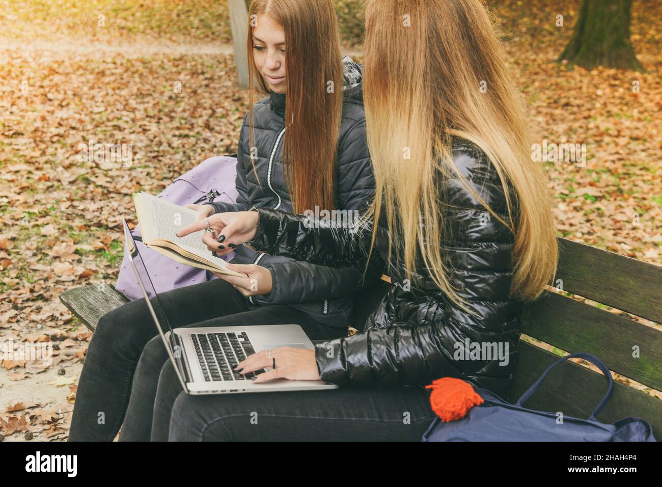 Girls study sitting on a bench in the park in a beautiful autumn ...