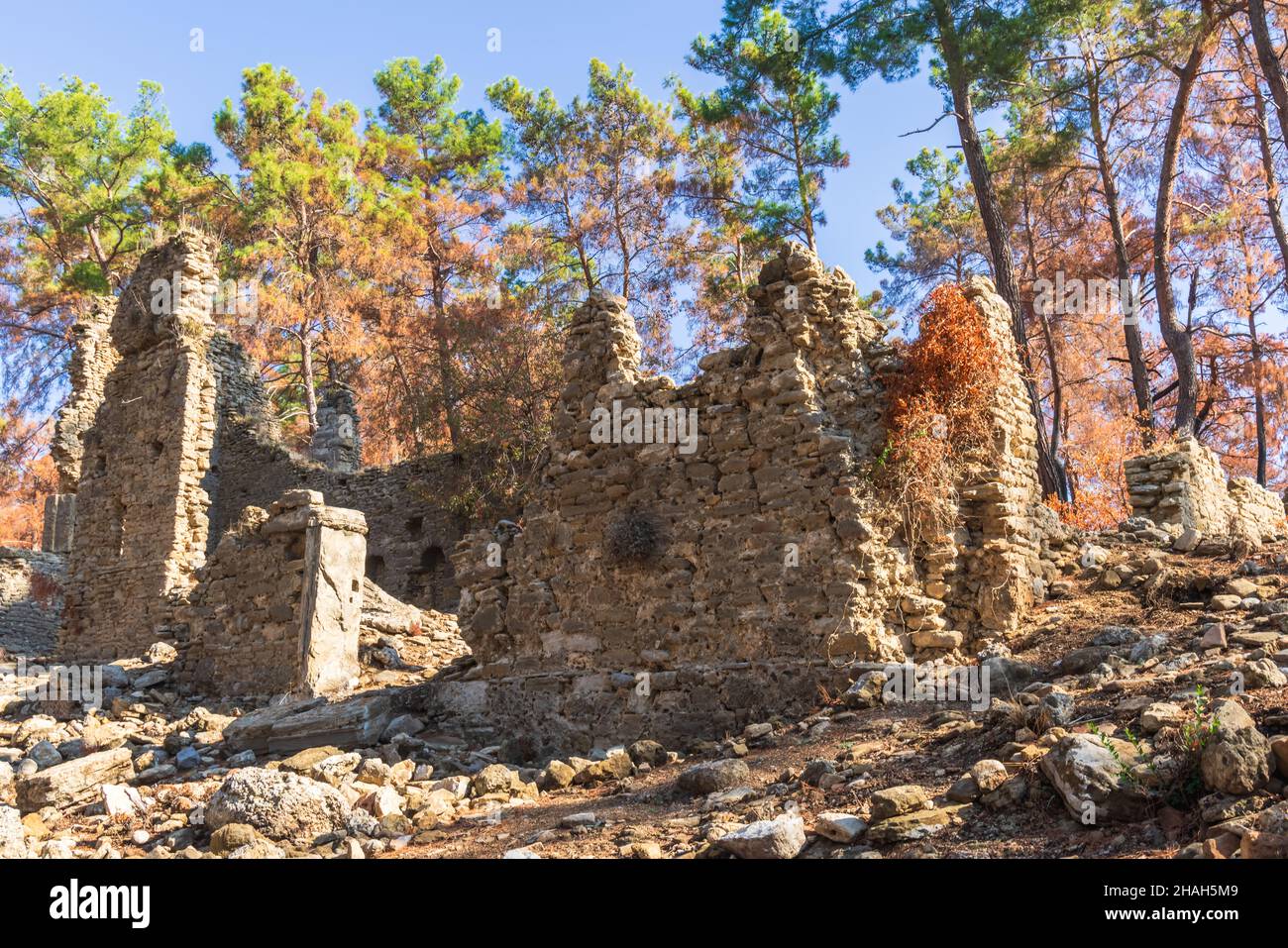 The fine Greco-Roman remains of the town of Seleucia (also known as ...