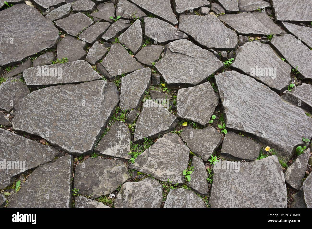 Cobblestone with grass texture hi-res stock photography and images - Alamy