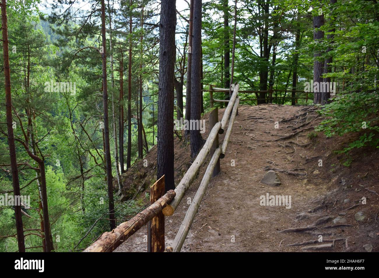 Mountain trail over a cliff overgrown with trees. On the left, a ...