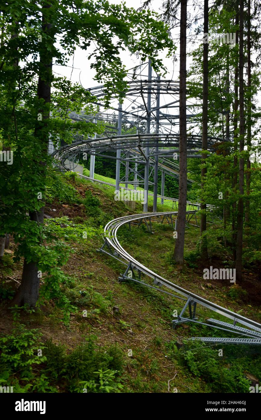 In the forest on the summer slope of the mountain, there is a roller ...