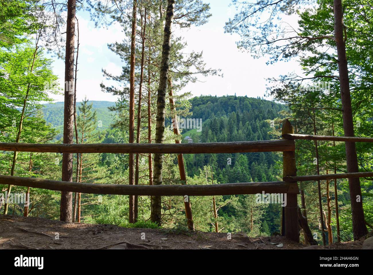 A railing of logs over a cliff overgrown with trees. Behind them is a ...