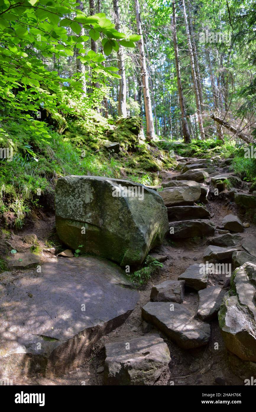 Rough hill wood hi-res stock photography and images - Alamy
