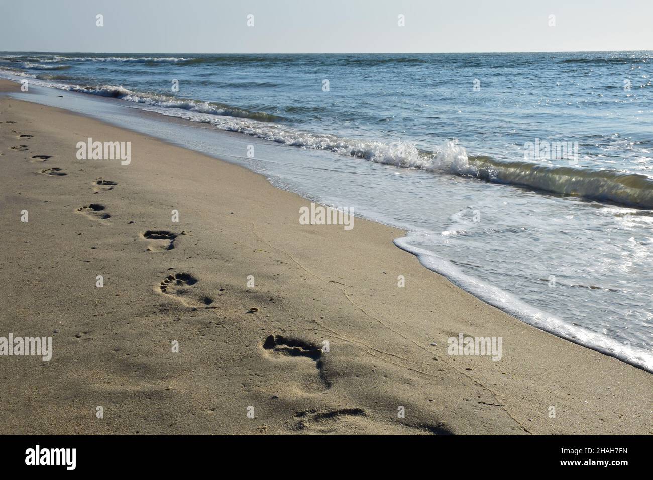 Human footprints on a sandy sea beach stretching into the distance. To ...