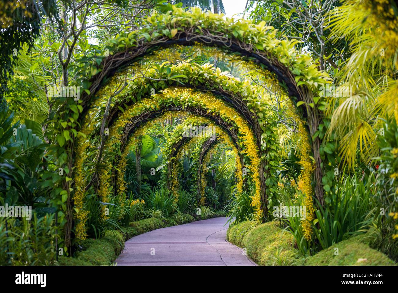 Beautiful row of green arches with growing plants in the Singapore ...