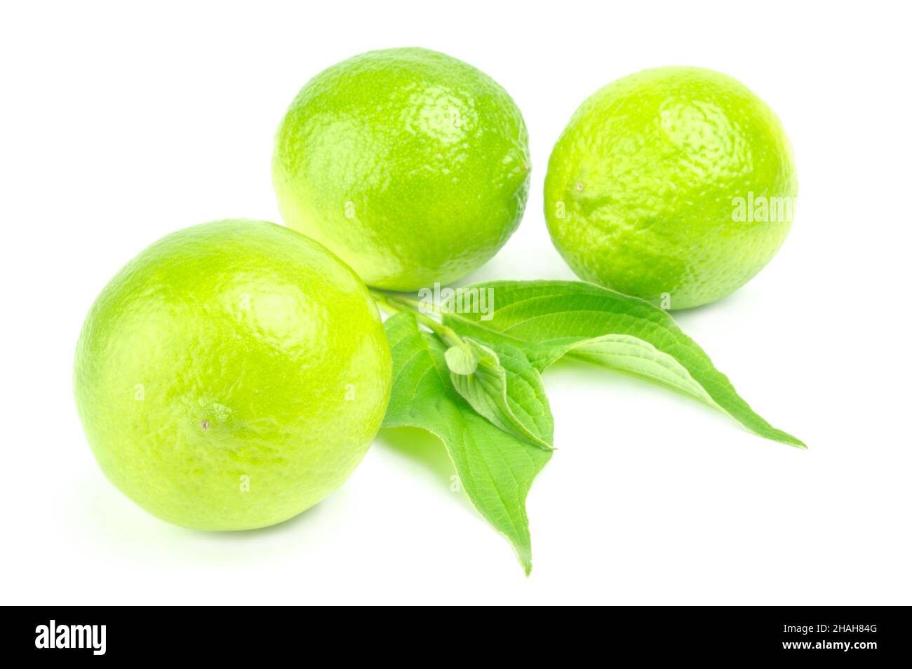 Three ripe limes isolated on white Stock Photo - Alamy