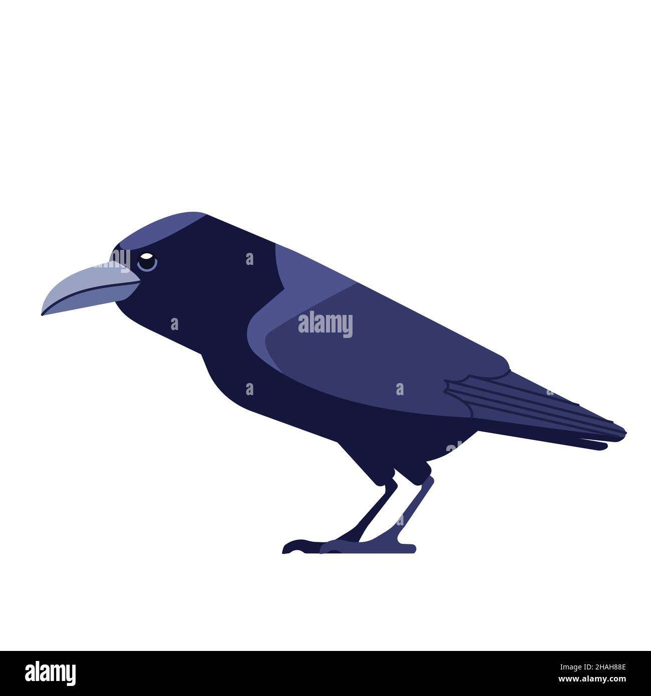 Common carrion crow sitting hi-res stock photography and images - Alamy