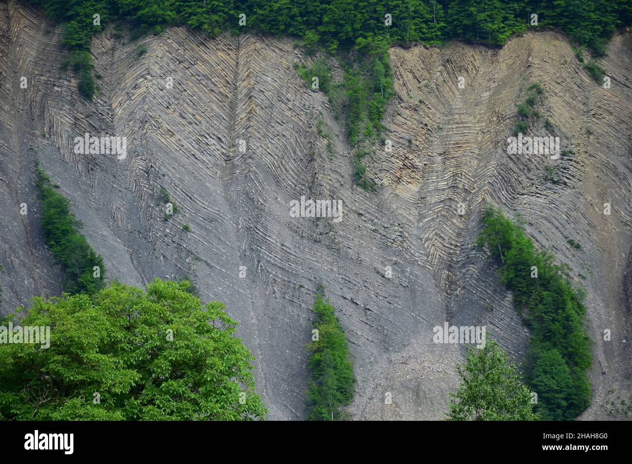 A cut of a large rock with multiple horizontal lines in the stone from ...