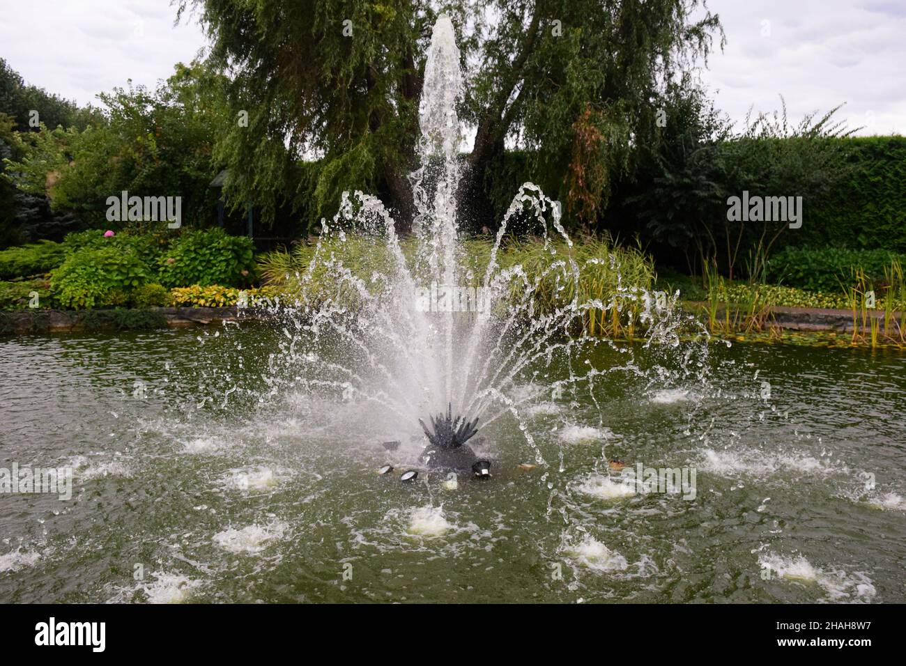 Decorative fountain on a pond with many jets against the background of ...