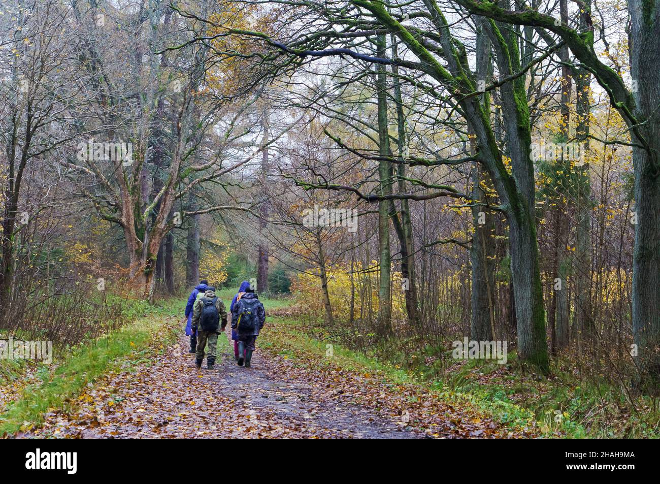 Kaliningrad region, Russia, November 7, 2021. Journey through the ...