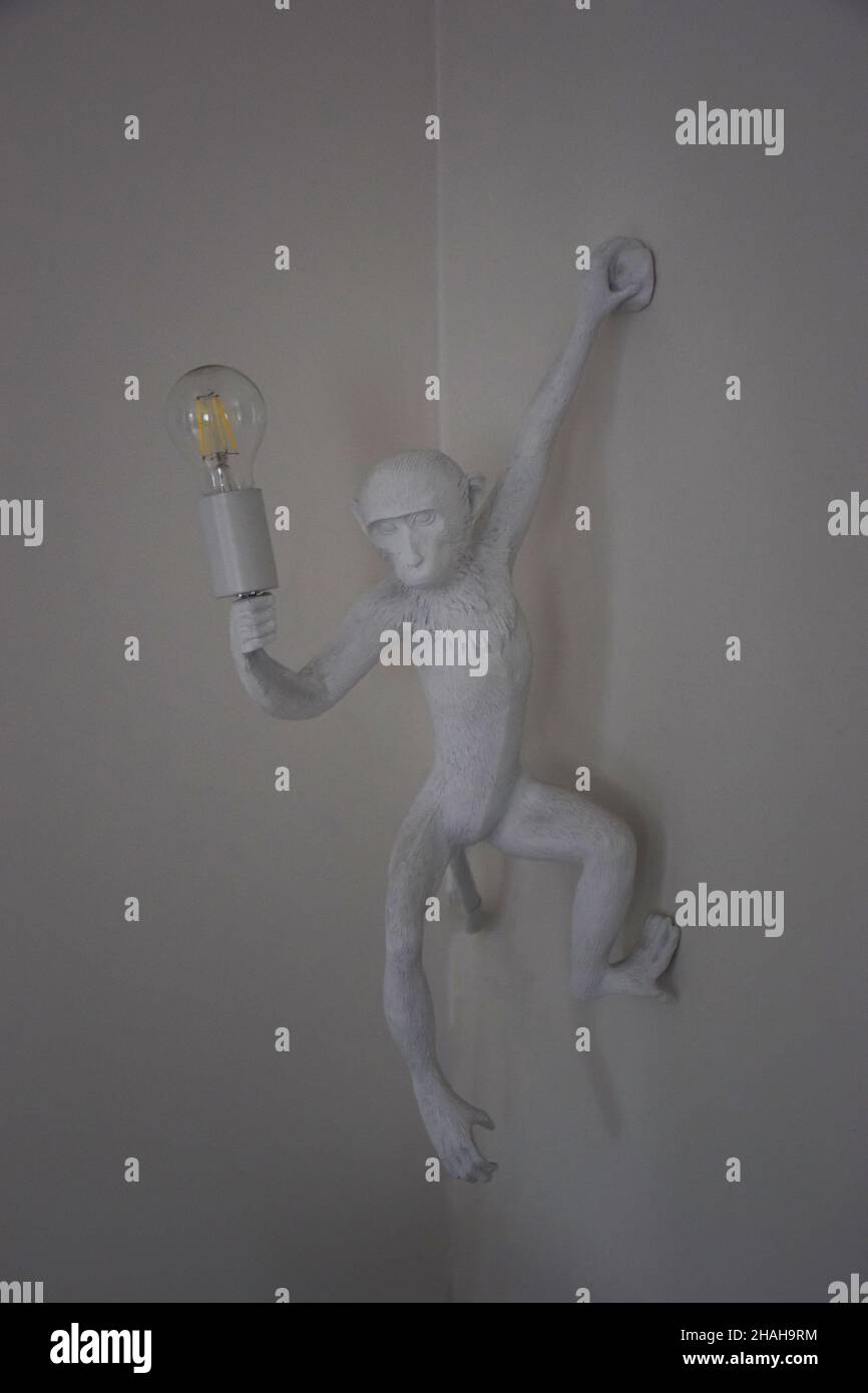 A lamp in the shape of a monkey holding a lamp in his hand hangs on the ...