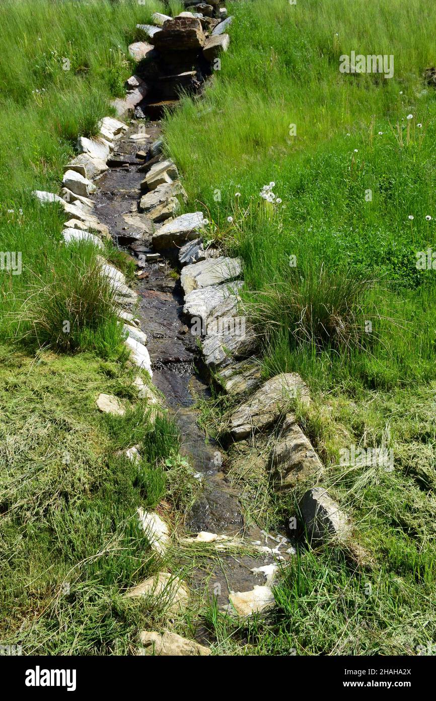 A stream flows in the green grass, leaving into perspective, surrounded ...