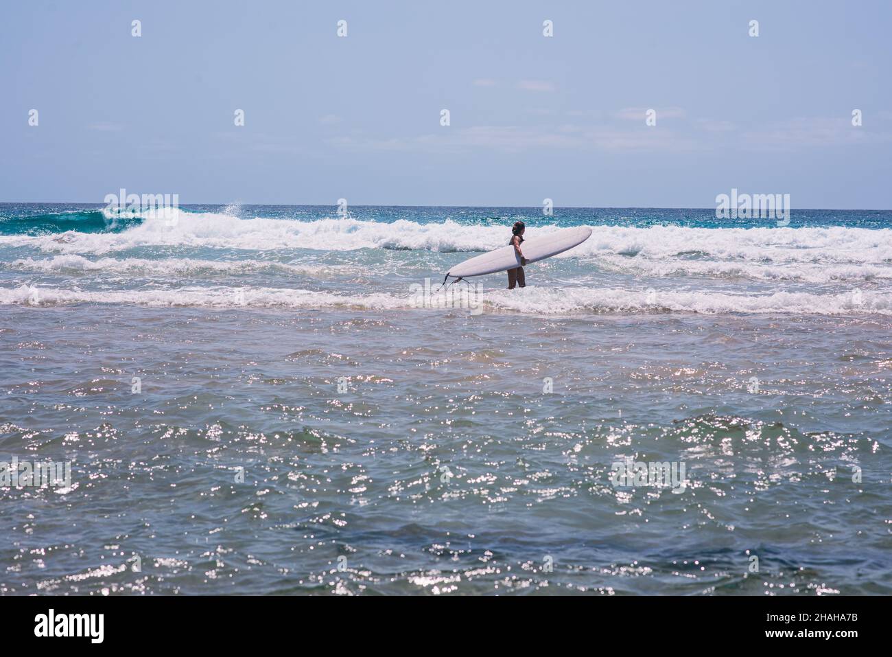 Woman seen entering water with her surfboard Stock Photo - Alamy