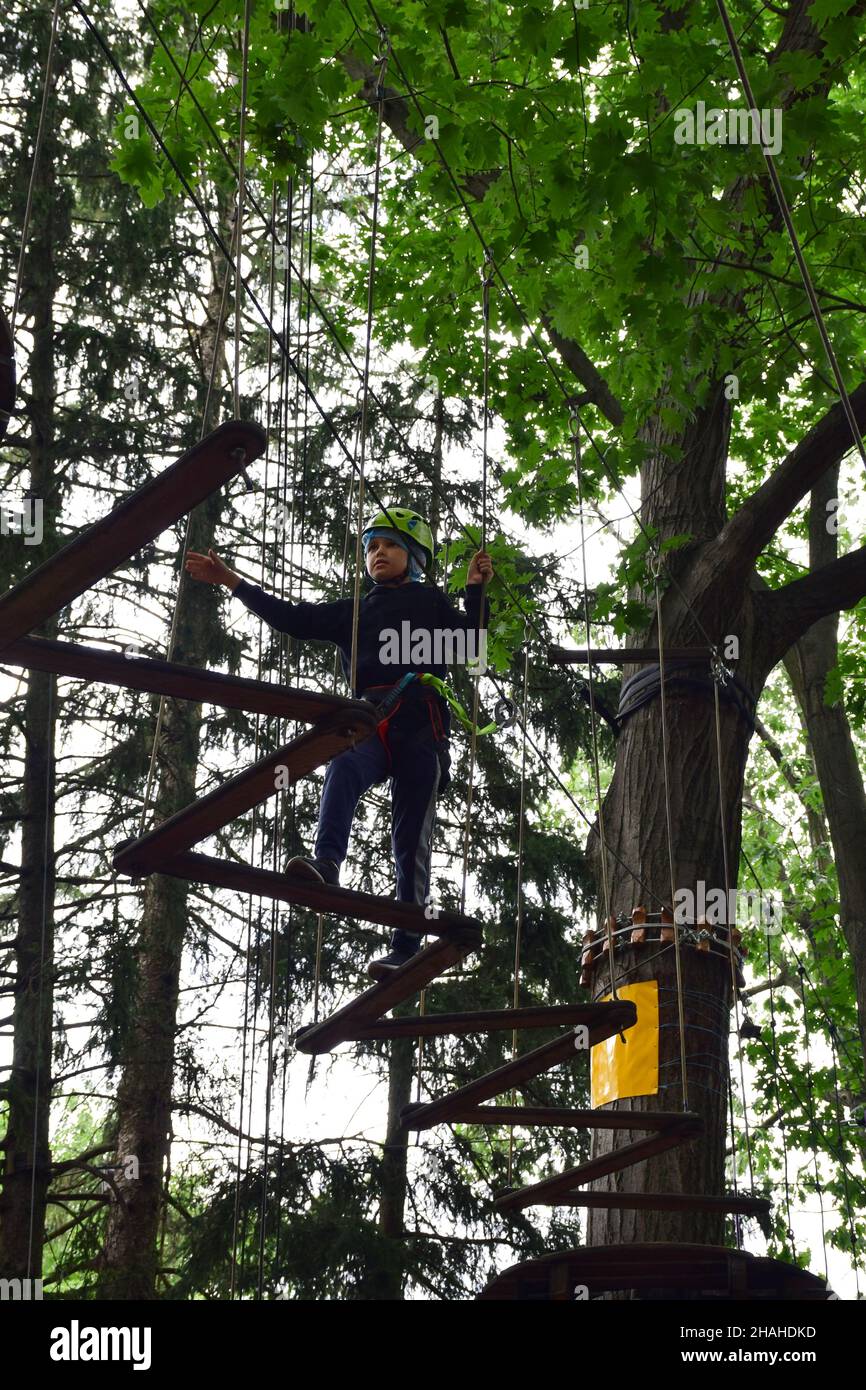 Teen boy climbing tree hi-res stock photography and images - Alamy