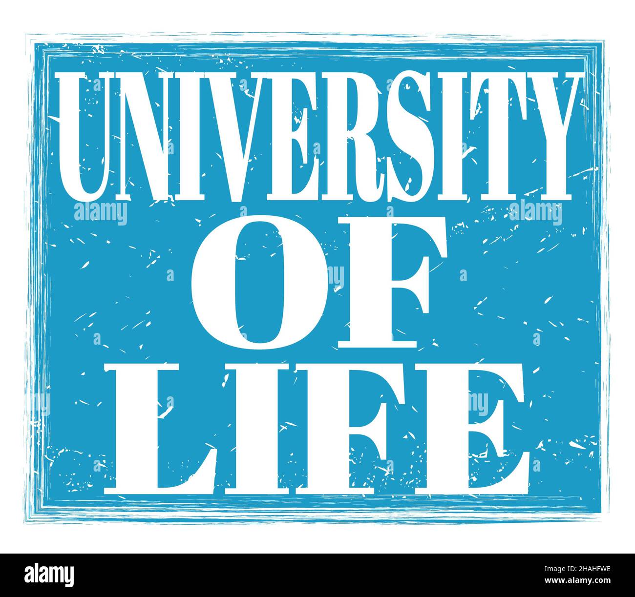 UNIVERSITY OF LIFE, written on blue grungy stamp sign Stock Photo - Alamy