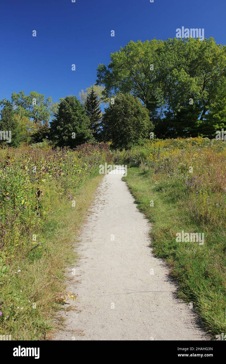 Secluded footpath winding thru the natural prairie and wildflower ...
