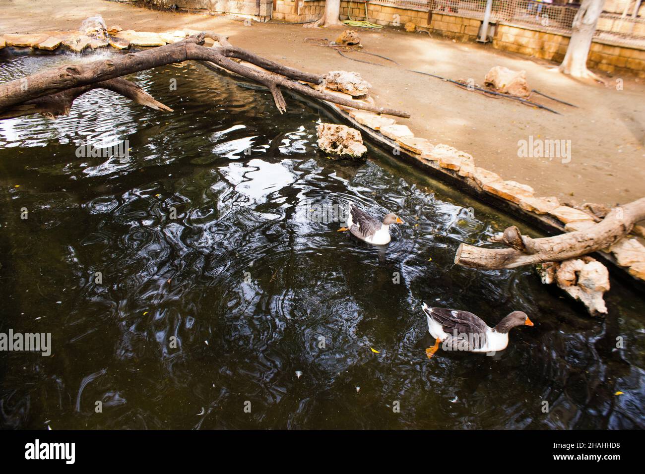 Limassol, Cyprus - December 12, 2021 Limassol Zoo, one of the biggest ...