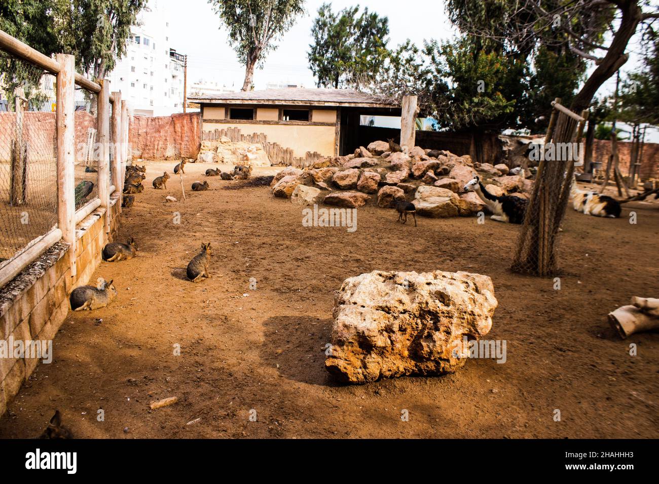 Limassol, Cyprus - December 12, 2021 Limassol Zoo, one of the biggest ...