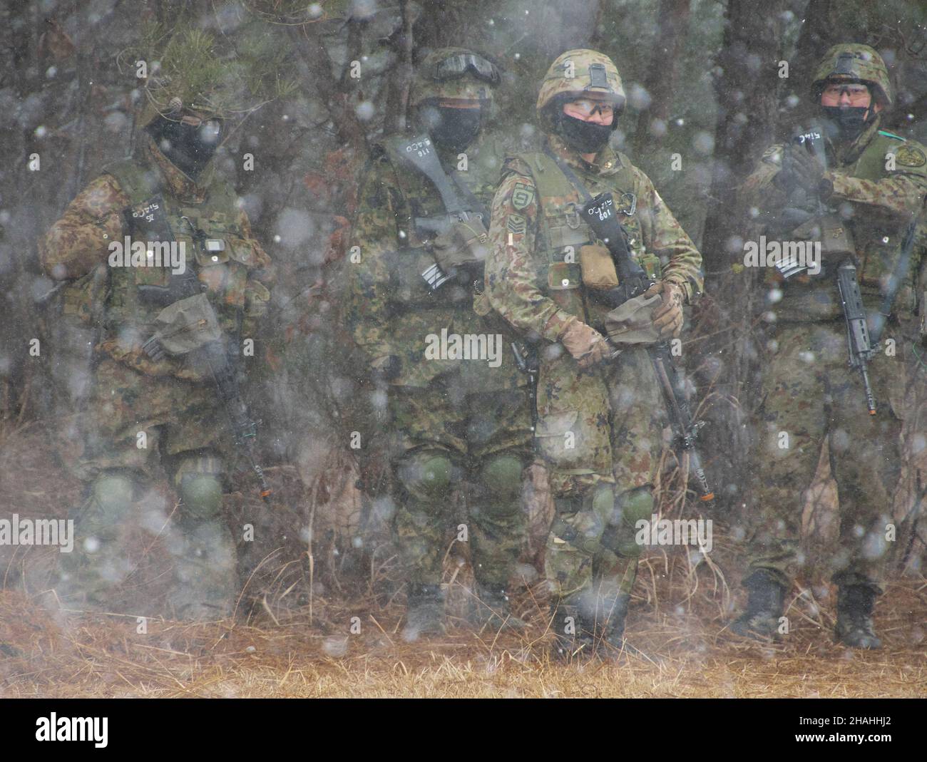 Resolute dragon 2021 hi-res stock photography and images - Alamy