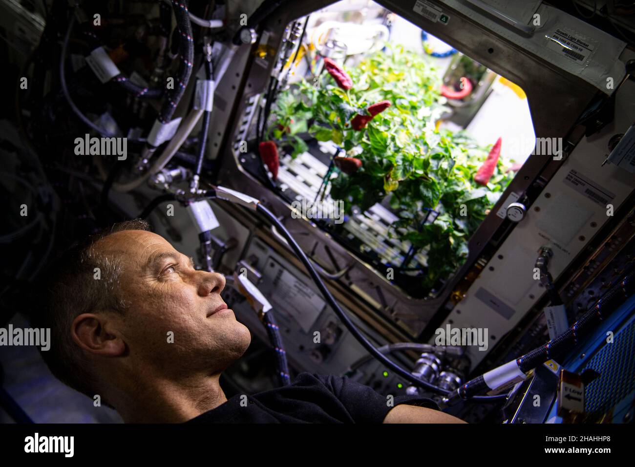 ISS - 26 November 2021 - NASA astronaut and Expedition 66 Flight ...