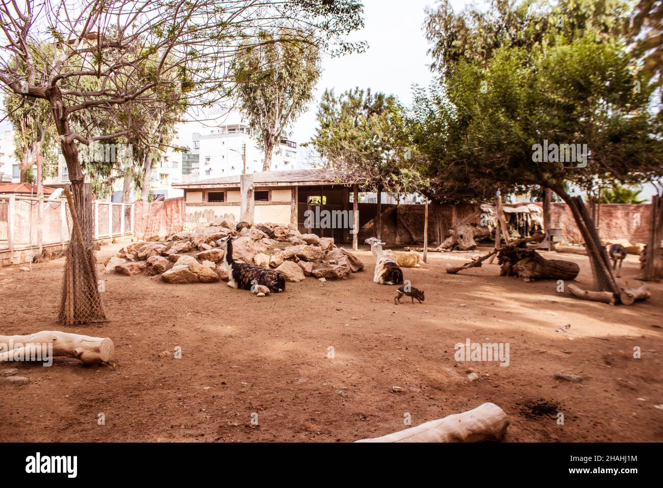 Limassol, Cyprus - December 12, 2021 Limassol Zoo, one of the biggest ...