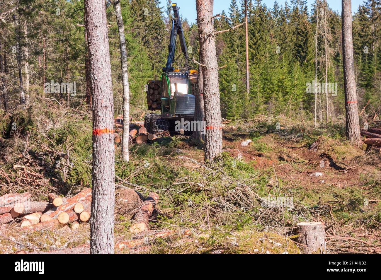 Forwarder forestry vehicle hi-res stock photography and images - Alamy
