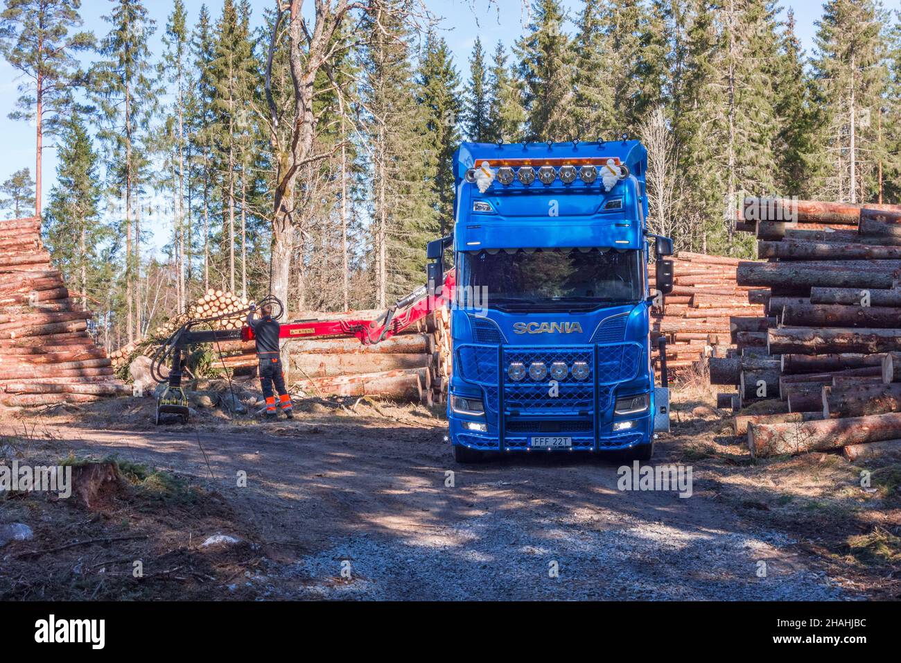 Timber loading in the forest Stock Photo - Alamy