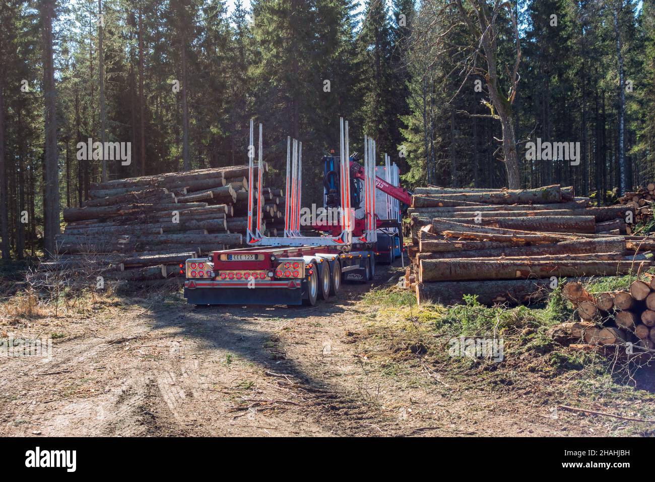 Timber truck with a trailer by a timber storage in the woodland Stock ...