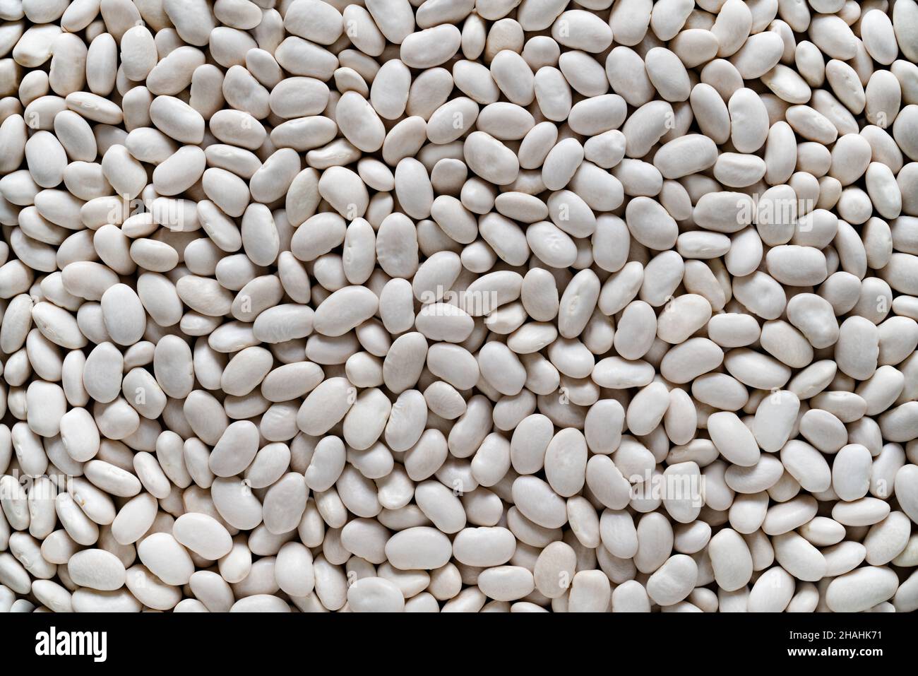 Textured background of white beans. Top view Stock Photo - Alamy