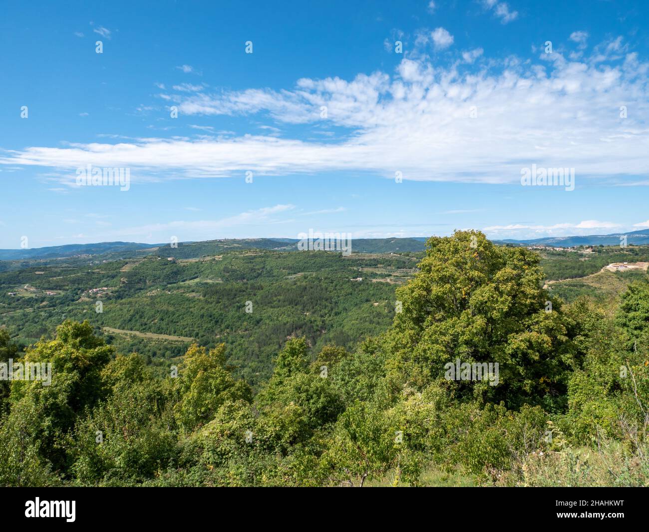 green Landscape in Istria in Croatia Stock Photo - Alamy