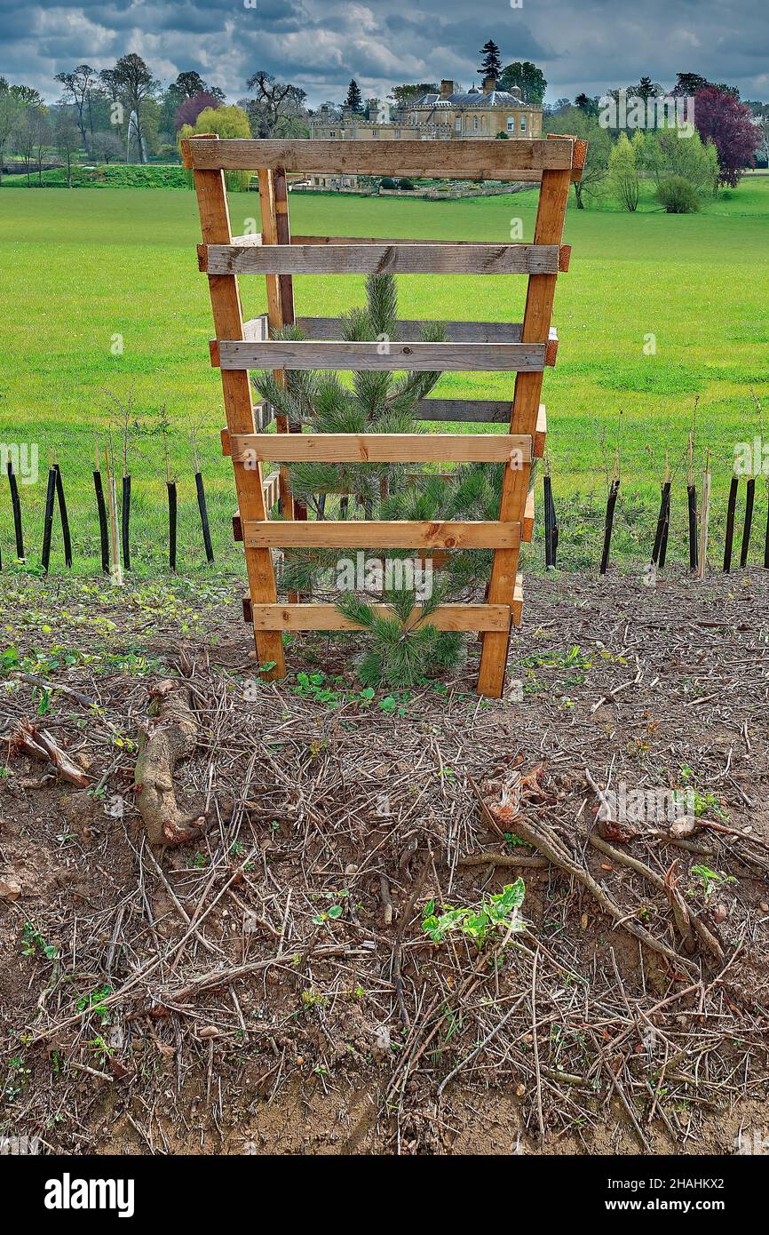 Wooden cage hi-res stock photography and images - Alamy