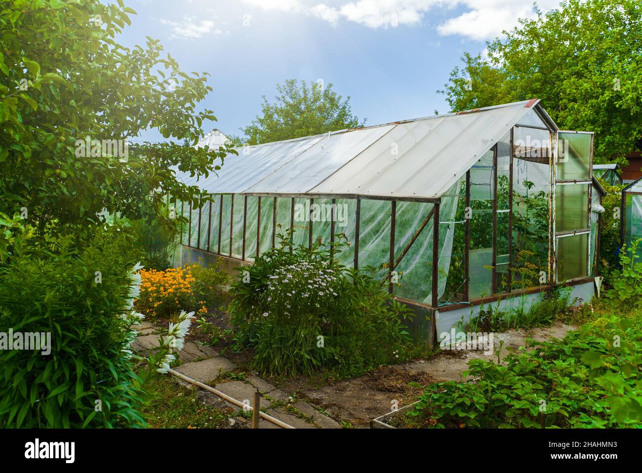 Traditional old greenhouse in the garden Stock Photo - Alamy