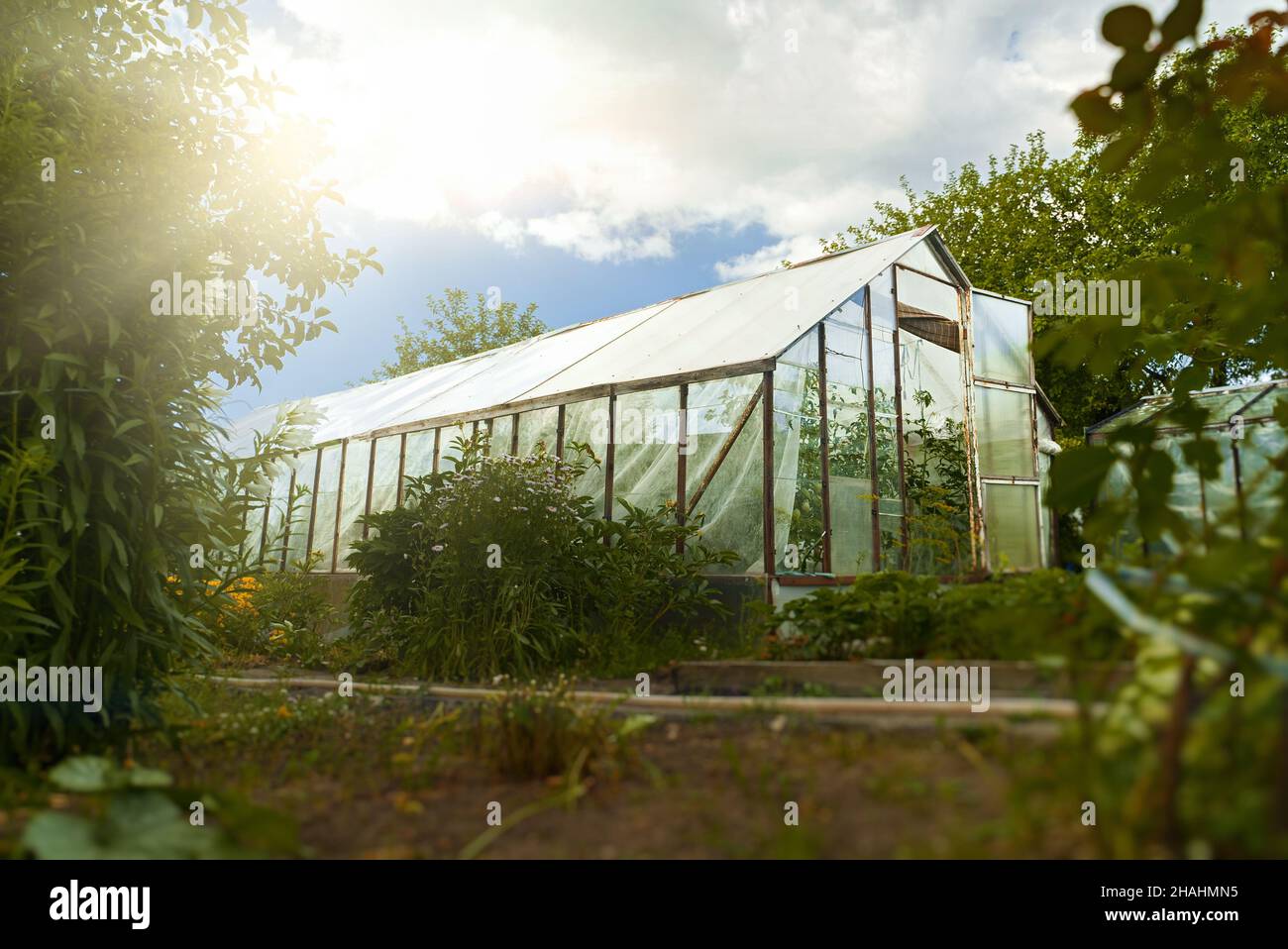 Traditional old greenhouse in the garden Stock Photo - Alamy