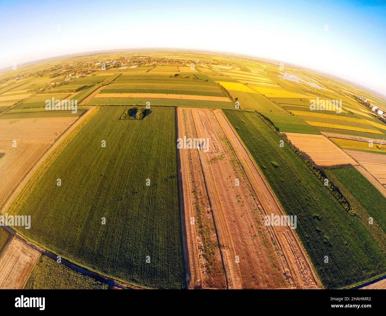 Bird's eyes view of green wheat field and sunny day Stock Photo - Alamy