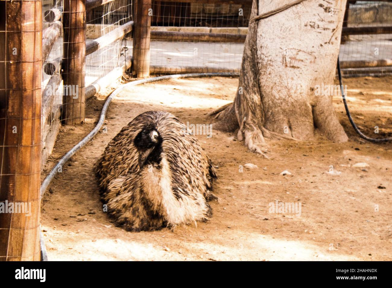 Limassol, Cyprus - December 12, 2021 Limassol Zoo, one of the biggest ...