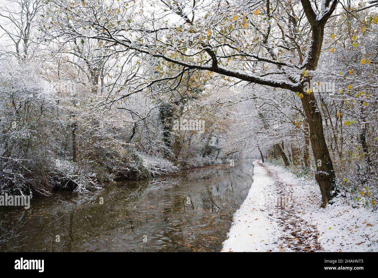 snow covered canal, trees and towpath Stock Photo - Alamy