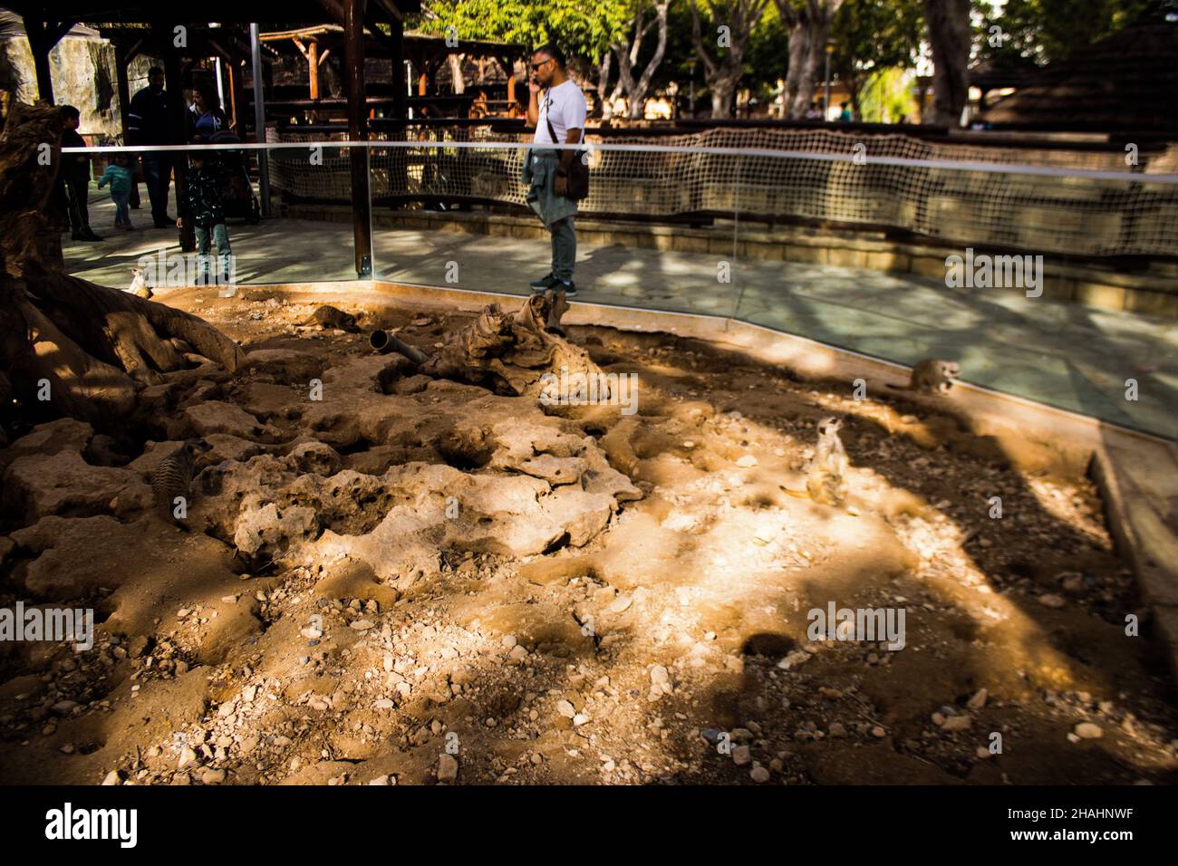 Limassol, Cyprus - December 12, 2021 Limassol Zoo, one of the biggest ...