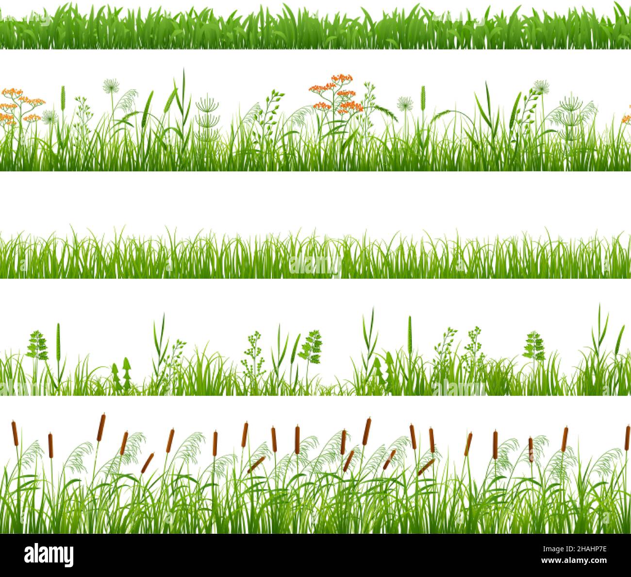 Green grass seamless pattern. Backyard plants, meadow or garden borders ...