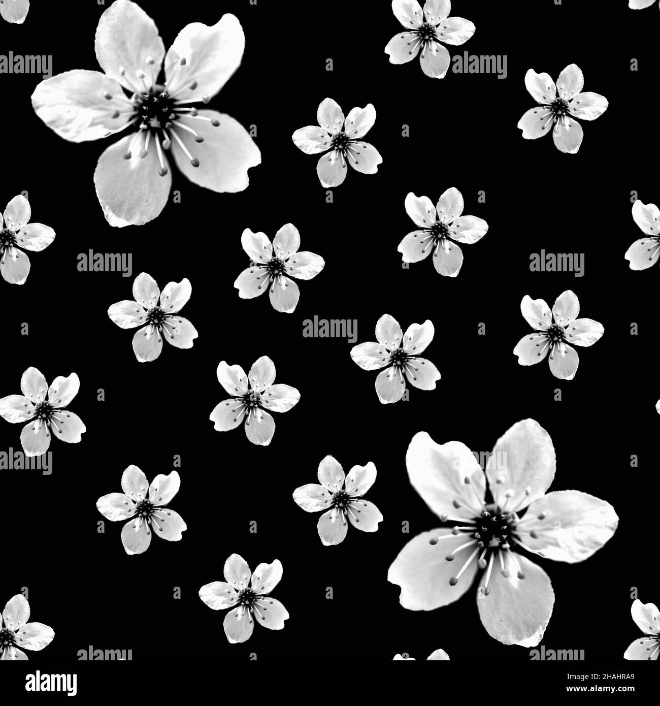 Abstract black background with flowers Stock Photo - Alamy