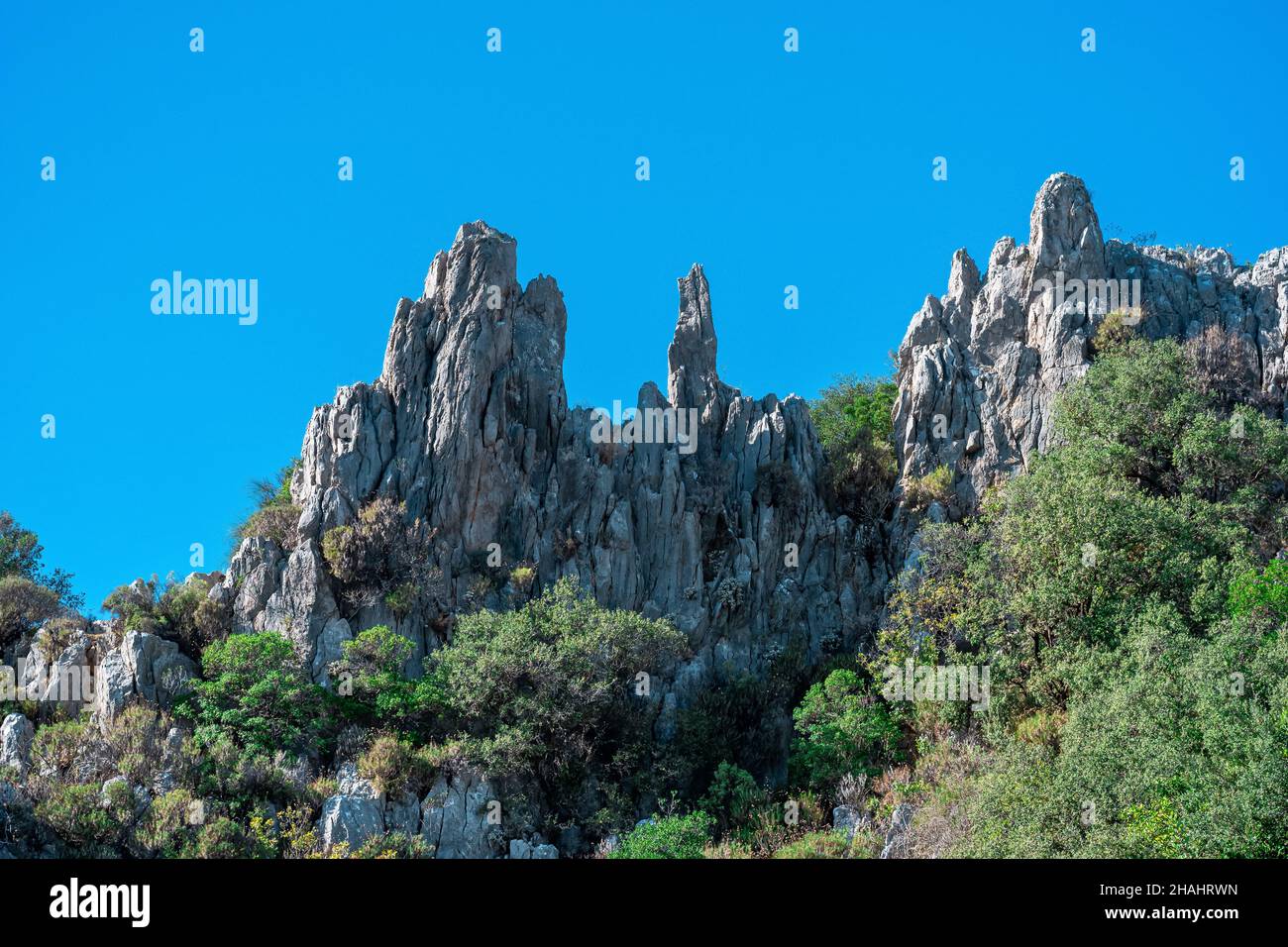 tropical mountain landscape - bushy vegetation among white limestone ...