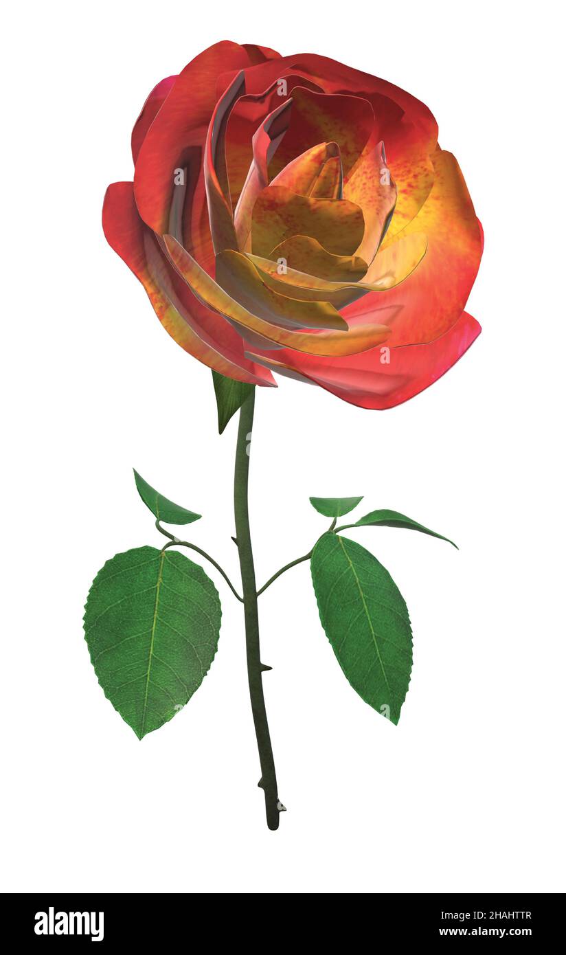 Red Gold Single Rose Stem Stock Vector Image & Art - Alamy