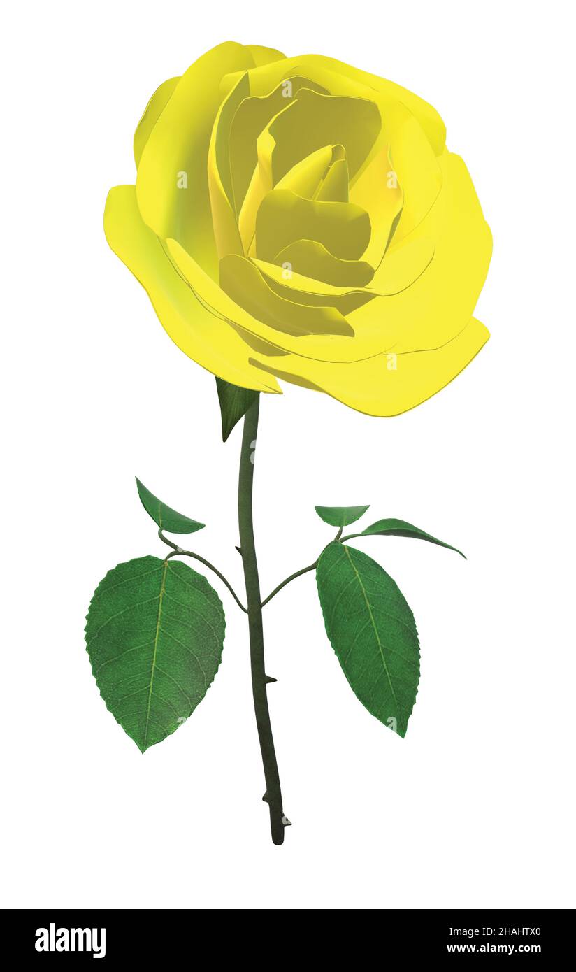 Solid Yellow Single Rose Stem Stock Vector Image & Art - Alamy