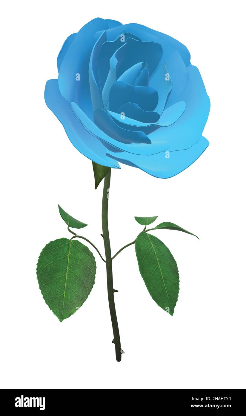 Solid Turquoise Single Rose Stem Stock Vector Image & Art - Alamy